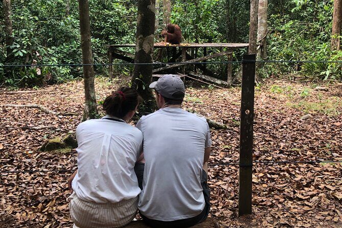 Orangutan Tanjung Puting Honeymoon CoupleTour - Key Points