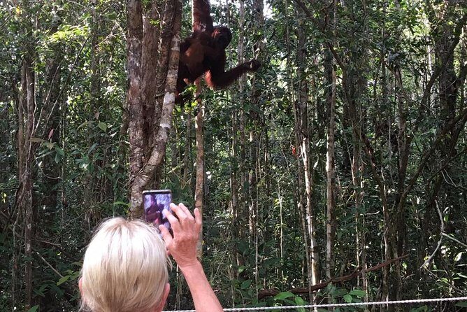 Orangutan Tanjung Puting Wildlife Trail & Arut River 5 Days - An In-Depth Look at the 5-Day Tanjung Puting Tour