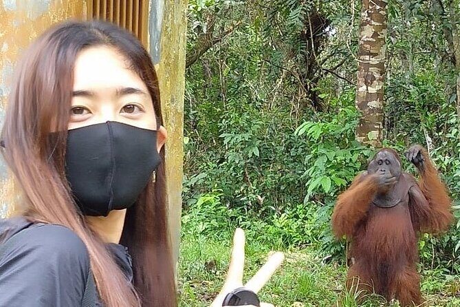 Orangutan Tour Tanjung Puting 3D2N - Introduction