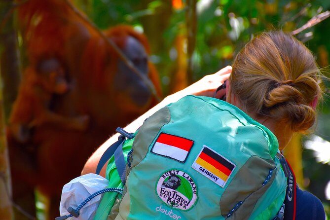 ORANGUTAN TREK (2D/1N) by EcoTravel Bukit Lawang - What the Tour Includes and Excludes
