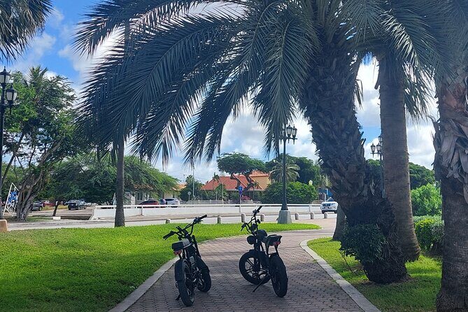 Oranjestad Culture Heritage and Coastal Electric Bike Experience - Considerations