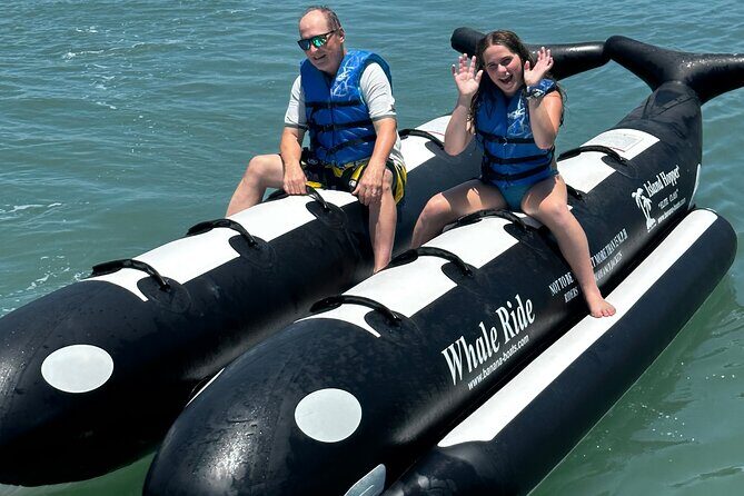 Orca Whale Inflatable Rides - Key Points