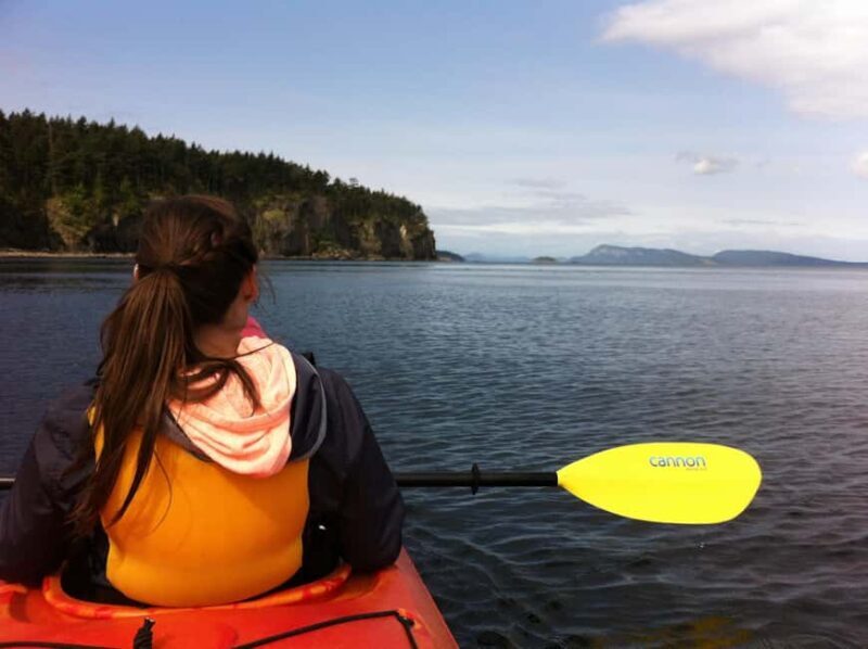 Orcas Island: Wildlife Spotting Kayak Tour - Exploring Orcas Island: Wildlife Spotting Kayak Tour - A Practical Review