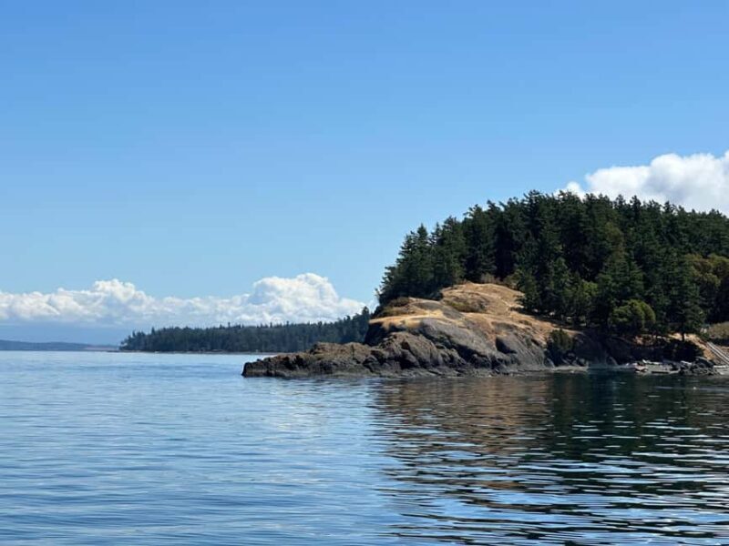 Orcas Island: Wildlife Spotting Kayak Tour - An In-Depth Look at the Orcas Island Kayak Tour