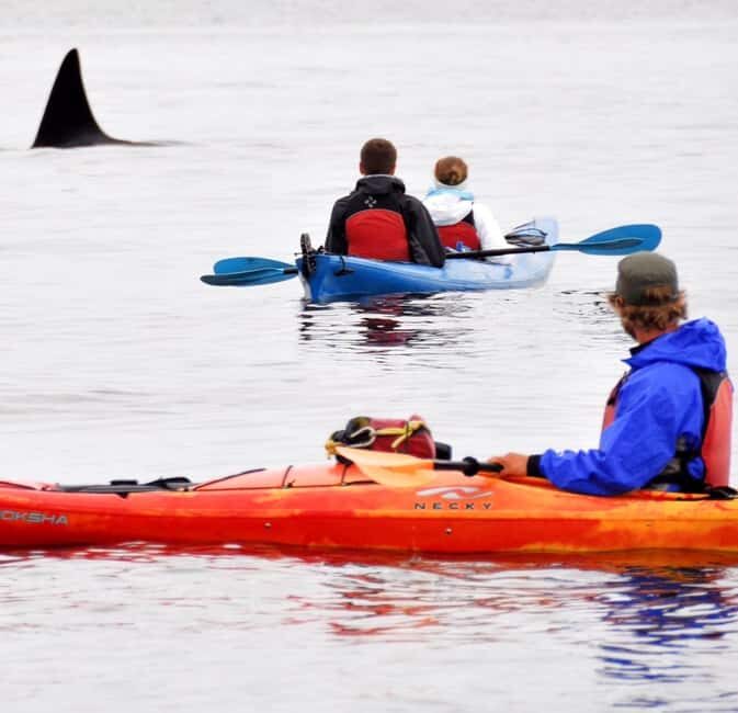 Orcas Island: Wildlife Spotting Kayak Tour - FAQ