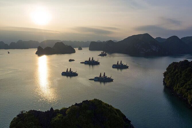 Orchid Trendy Cruises - Halong Bay 2 Days/1 Night 5 Star - The Sum Up
