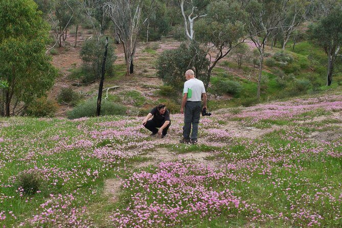 Orchids and Wildflowers Photographic Day tour from Perth - Final Words