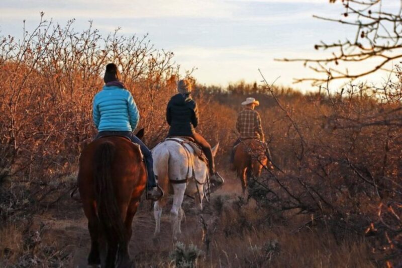 Orderville: Checkerboard Evening Shadow Horseback Ride - A Closer Look at the Checkerboard Evening Shadow Horseback Ride in Zion