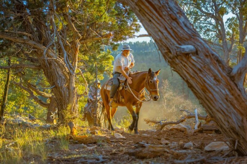 Orderville: Checkerboard Evening Shadow Horseback Ride - Final Words on the Checkerboard Evening Shadow Horseback Ride