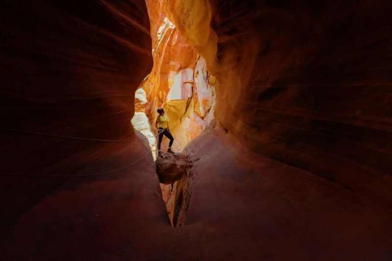 Orderville: Elkheart Half-Day Canyoneering and UTV Tour - Key Points