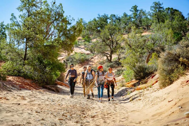 Orderville/Kanab: Coral Sands Canyoneering & Rappelling Tour - Key Points