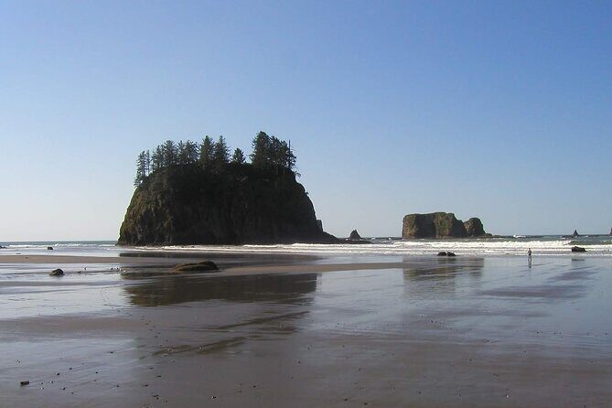 Oregon Coast Scenic Day Tour - Who Should Consider This Tour?