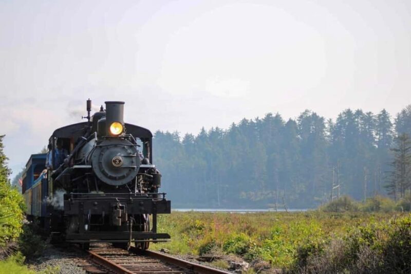 Oregon Coast: Scenic Railroad Excursion Along Coastline - Practical Tips for Your Trip