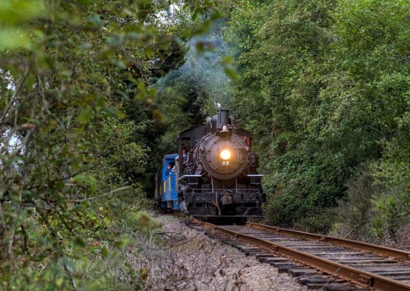 Oregon Coast: Scenic Railroad Excursion Along Coastline - Who Will Love This Tour