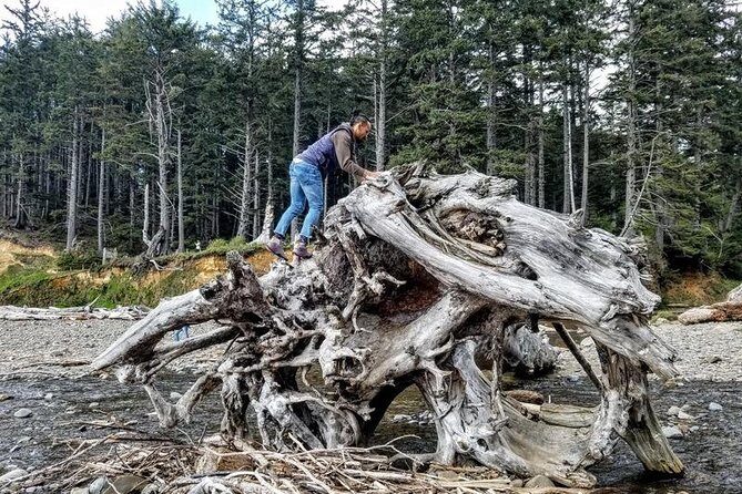 Oregon Coast Tour and Wine Tasting From Portland- Full Day Tour - The Experience and Why It Resonates