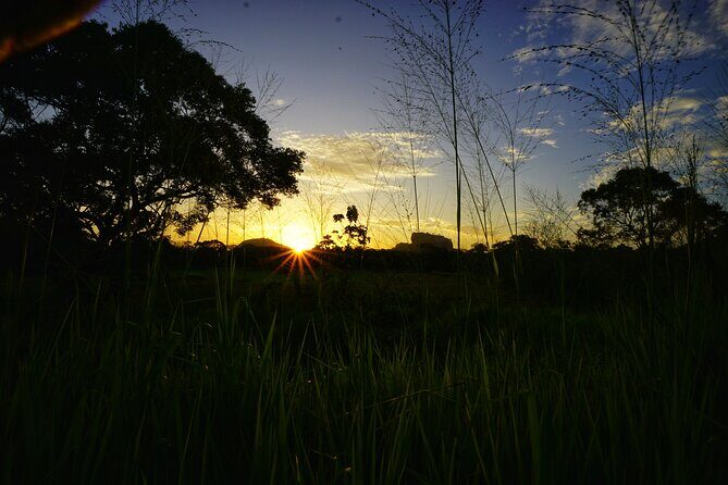 Organic Cooking Class Sigiriya TASTY TASKS - What to Expect from the Sigiriya Cooking Class