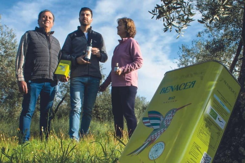 Organic EVOO tasting and guided visit to a family-run organic olive grove - An Honest Look at an Authentic Organic Olive Oil Tour in Andalusia