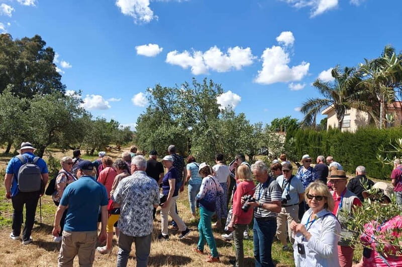 Organic EVOO tasting and guided visit to a family-run organic olive grove - Key Points