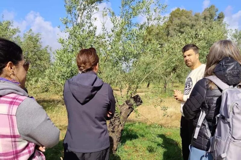 Organic olive oil tasting and visit to a family olive grove with fruit and a gift - Authenticity and Small-Scale Charm