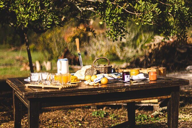 Organic Orange Picking & Jam Making with Farm-to-Table Lunch - Who Should Consider This Tour?