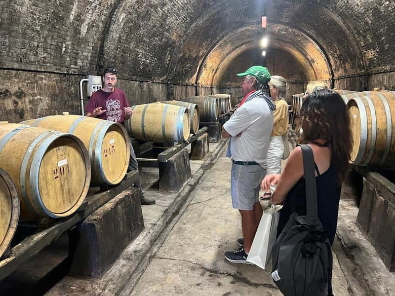 Organic Wine and Food Tasting at Historic Fattoria Majnoni - Key Points
