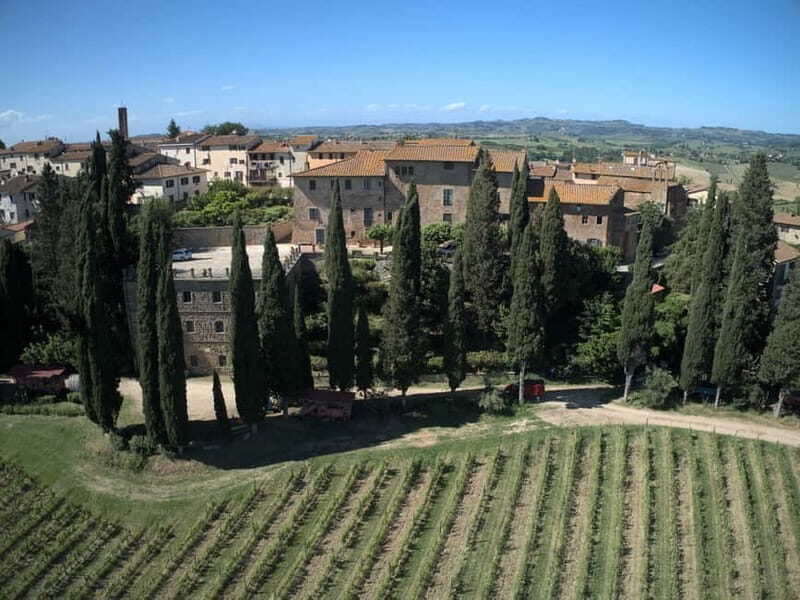 Organic Wine and Food Tasting at Historic Fattoria Majnoni - An In-Depth Look at the Experience