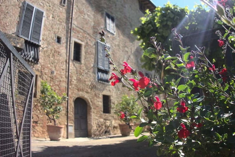 Organic Wine and Food Tasting at Historic Fattoria Majnoni - FAQ