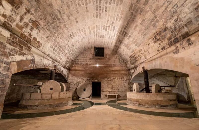 Organic Wine and Olive Oil Tasting Experience near Lecce - A Taste of Puglia: Organic Wine and Olive Oil Tasting near Lecce