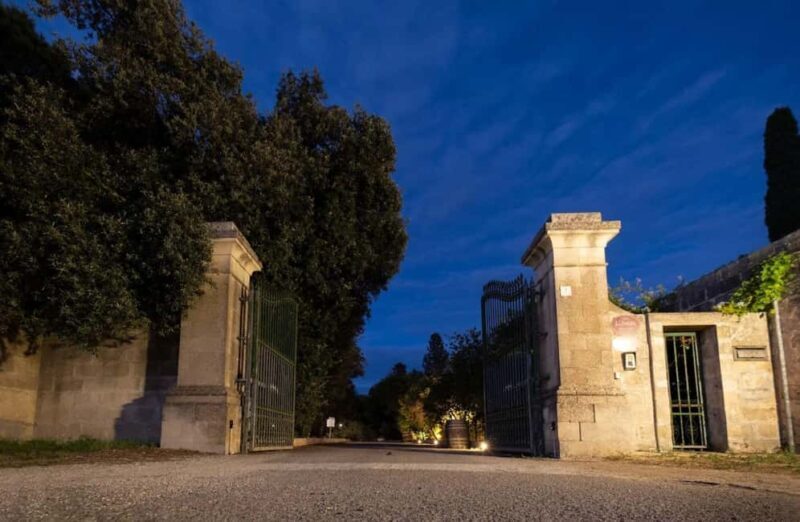 Organic Wine and Olive Oil Tasting Experience near Lecce - The Sum Up