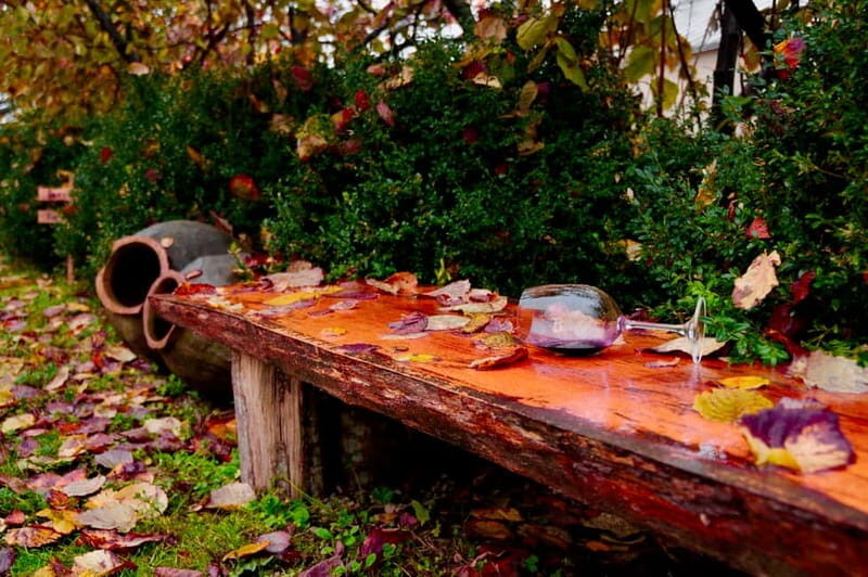 Organic Wine Full Day Private Tour With Tastings and Lunch - What Could Be Better?