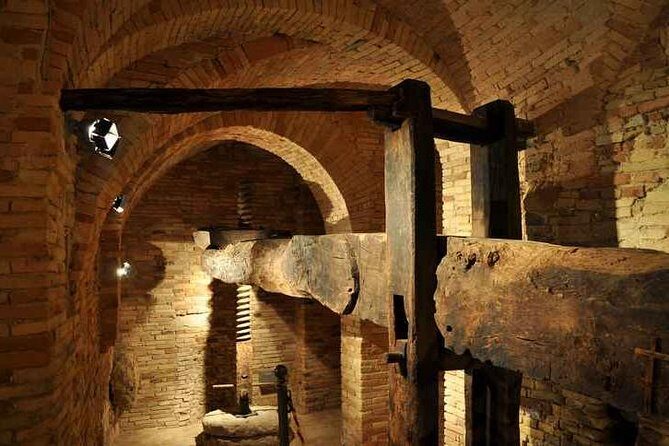 Organic Wine Tasting & tasting of EVO CantinArte OIL MUSEUM - Why This Tour Matters for Your Trip