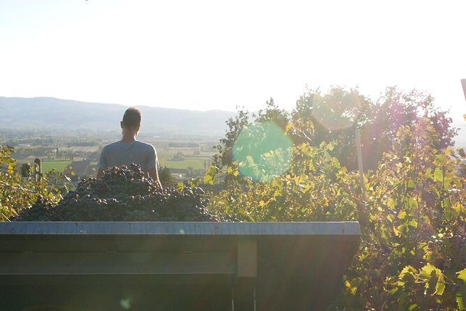 Organic Winery tour with Full Lunch from Assisi - Why This Tour Stands Out