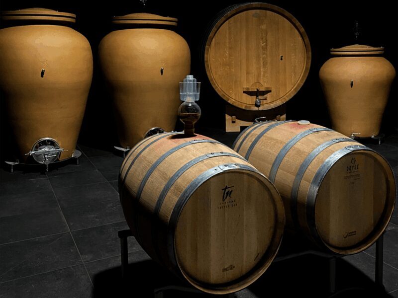 Organic Winery Visit near Turin with Wine & Food Tasting - FAQ