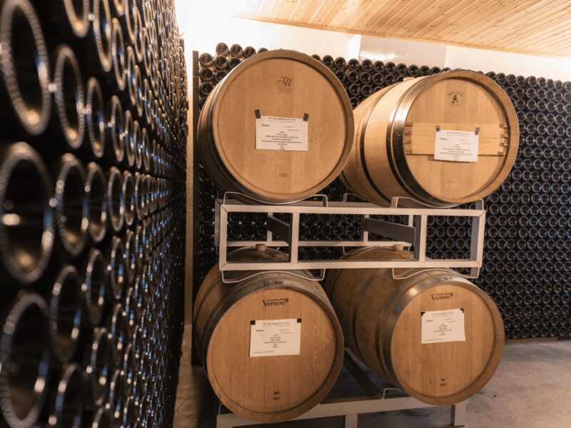 Organic Winery Visit & Wine Tasting with Food in Pavia - Who Will Enjoy This Tour?