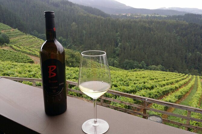 Organic Winery Visit with Tasting in Bilbao - Key Points