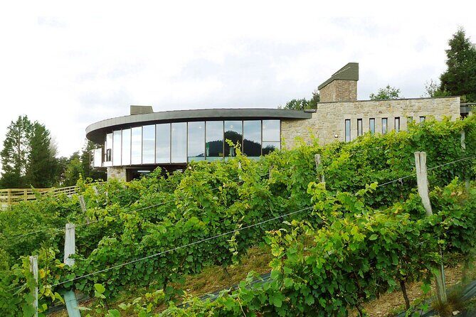 Organic Winery Visit with Tasting in Bilbao - Discovering the Heart of Basque Wine: What’s Included?