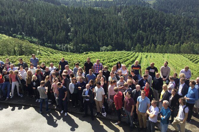 Organic Winery Visit with Tasting in Bilbao - What Do Guests Say?