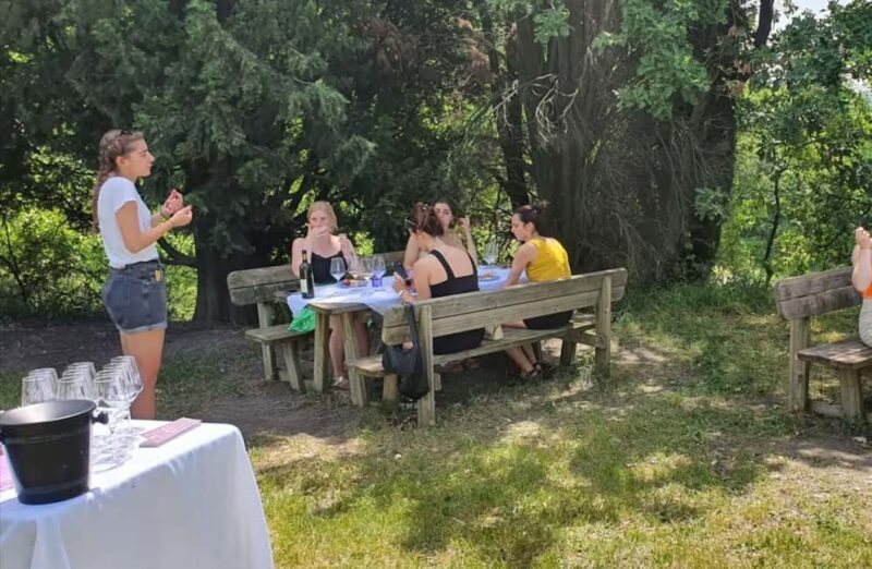 Organic Winery Visit with Wine & Food Tasting in Bologna - Exploring Bologna’s Organic Winemaking Scene