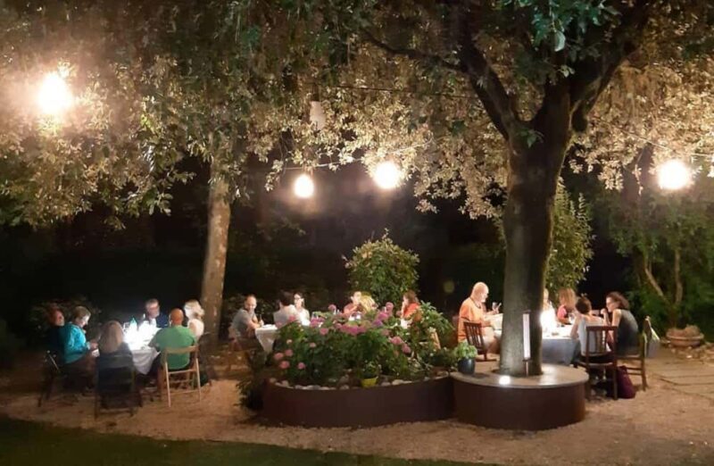 Organic Winery Visit with Wine & Food Tasting in Bologna - The Setting and Atmosphere