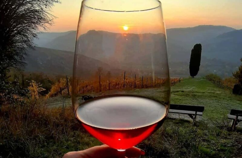 Organic Winery Visit with Wine & Food Tasting in Bologna - The Practicalities: Booking and Value