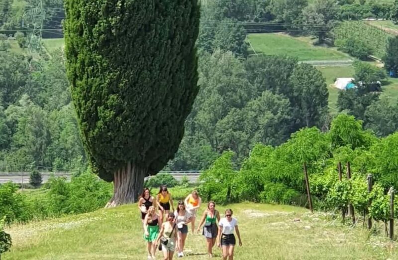 Organic Winery Visit with Wine & Food Tasting in Bologna - Who Will Love This Experience?