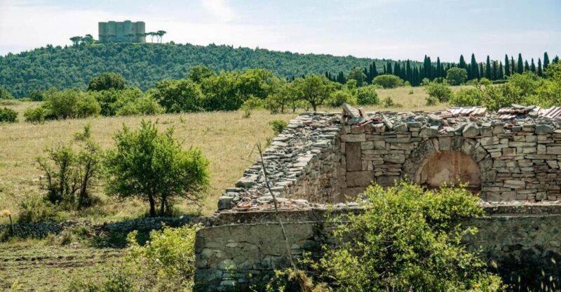 Organized tour from Bari to Castel del Monte - Inside the Castle: Discovering Federico II’s Creation