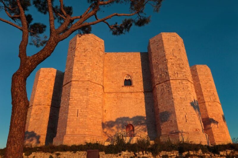 Organized tour from Bari to Castel del Monte - Who Should Consider This Tour?