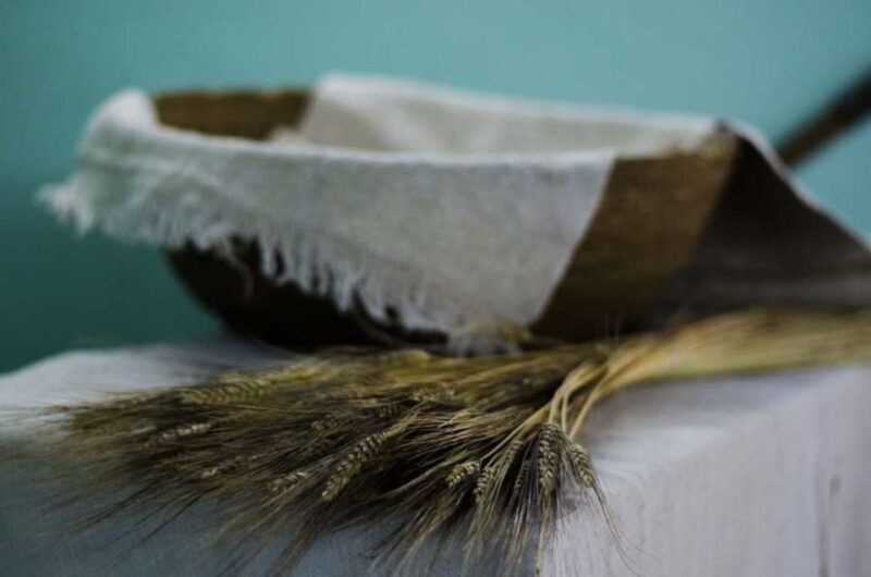 Orgosolo: Bread Workshop and Visit to the Bread Museum - A thorough look at the experience