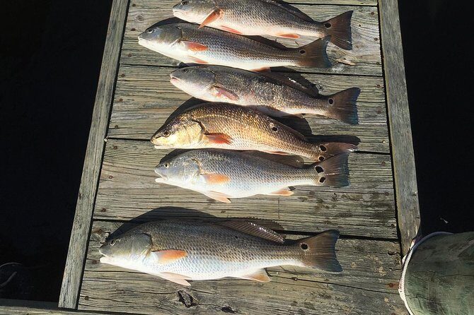 Oriental Neuse River Fishing Trips & Scenic Tours - Detailed Breakdown of the Itinerary