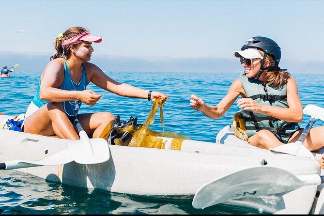 Original La Jolla Sea Cave Kayak Tour for Two - What Makes This Tour Special?
