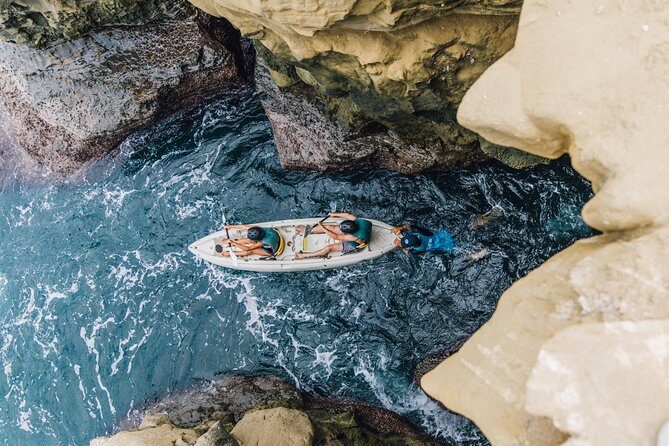 Original La Jolla Sea Cave Kayak Tour for Two - The Experience in Practice