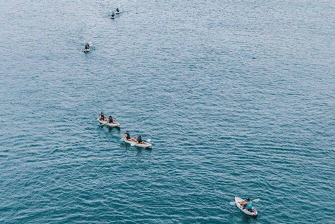 Original La Jolla Sea Cave Kayak Tour for Two - FAQs