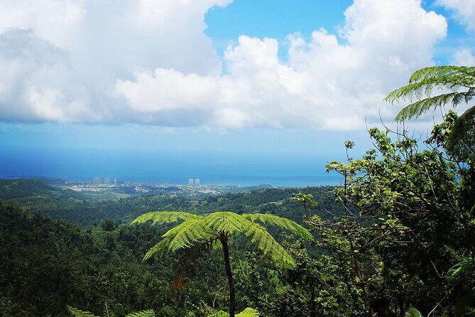 Original Tropical Rainforest and Beach Adventure - Why Choose This Tour?