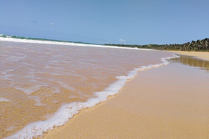 Original Tropical Rainforest and Beach Adventure - What Past Participants Say